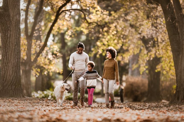 7 Tips For Enjoying Autumn with Your Furry Best Friend - Lake Oconee ...