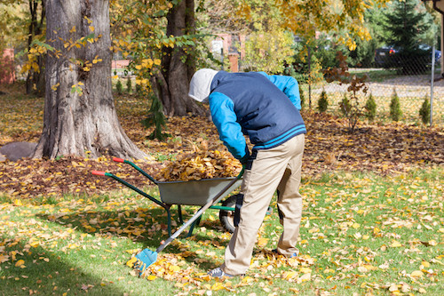 Checklist: Do This Fall Yard Work Now and You Will Reap Benefits Next ...