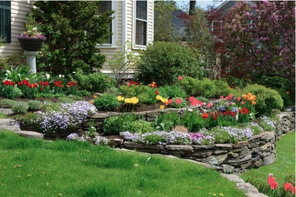 Best Hillside Landscaping Ideas - Lake Oconee Boomers